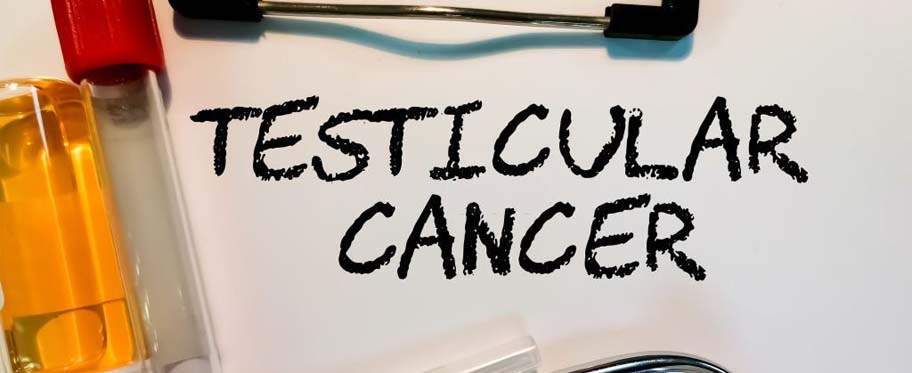 Testicular Cancer And Pregnancy Testicular Cancer Fertility Treatment